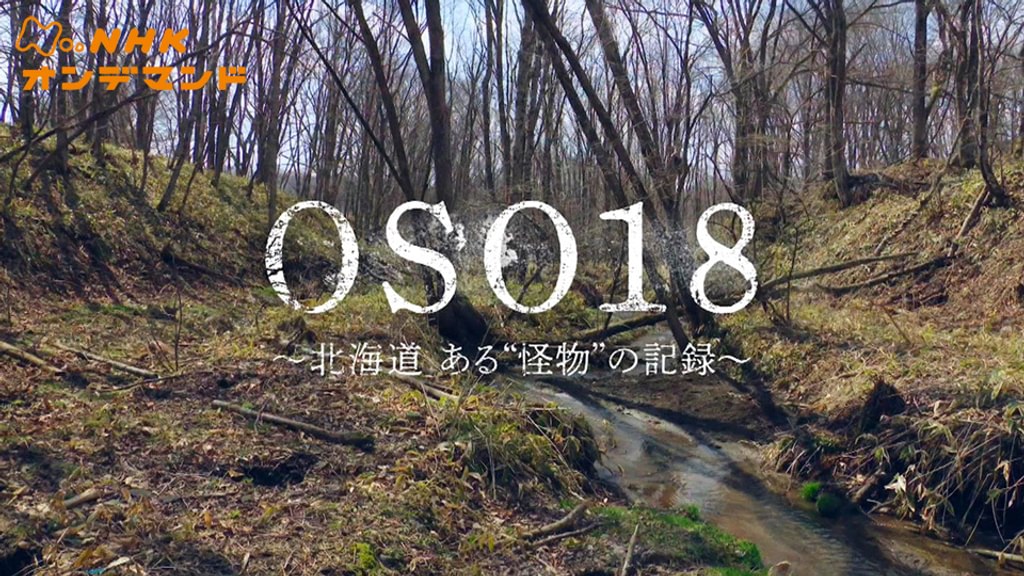 OSO18 ～北海道 ある“怪物”の記録～(報道・スペシャル / 2023) - 動画配信 | U-NEXT 31日間無料トライアル