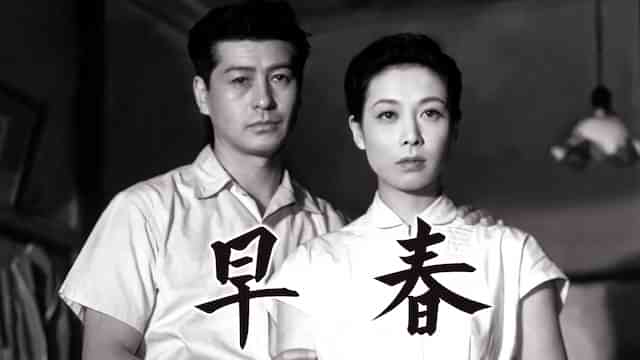 諸角啓二郎のプロフィール・画像・写真 Webザテレビジョン