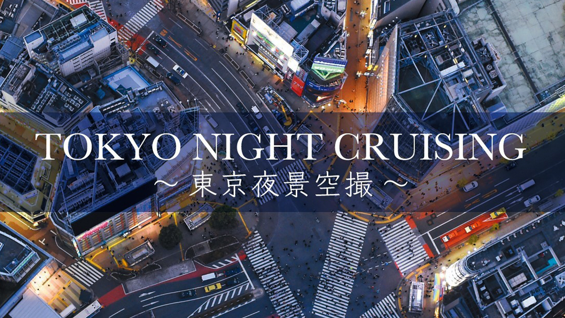 TOKYO NIGHT CRUISING ～東京夜景空撮～(バラエティ / 2018) - 動画配信 | U-NEXT 31日間無料トライアル