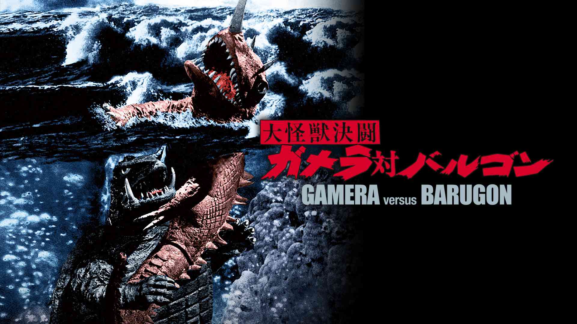 紺野ユカのプロフィール・画像・写真 Webザテレビジョン