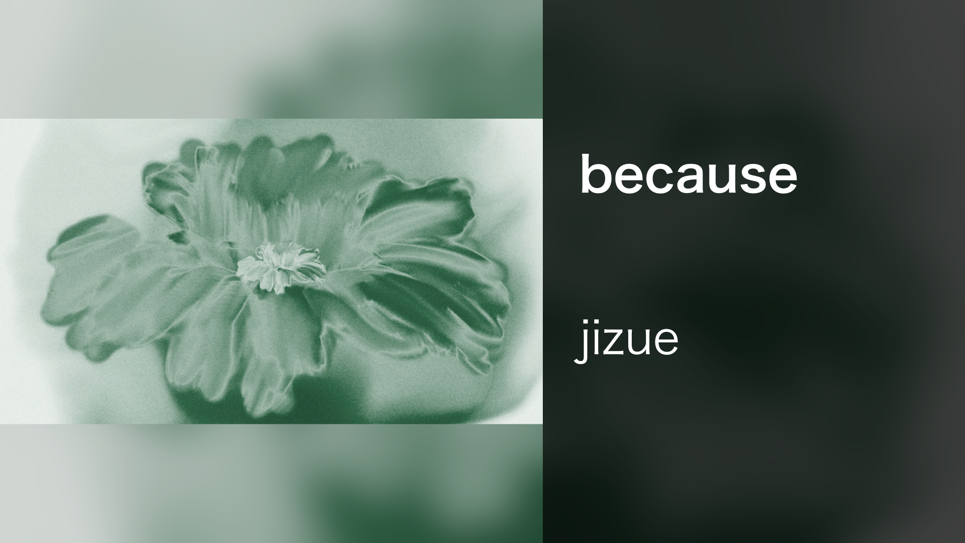 because(音楽・ライブ / 2020) - 動画配信 | U-NEXT 31日間無料トライアル