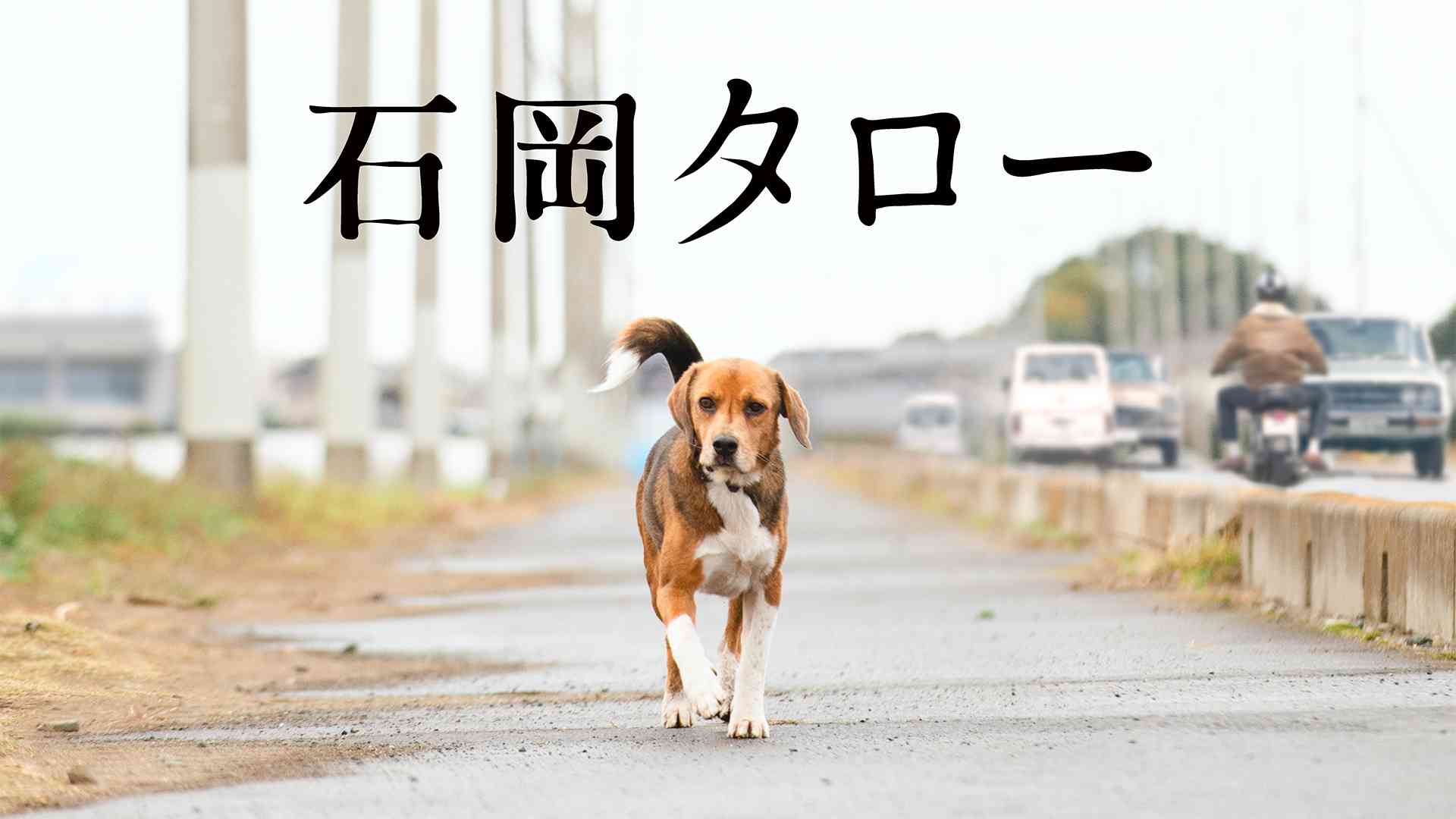 石岡タロー